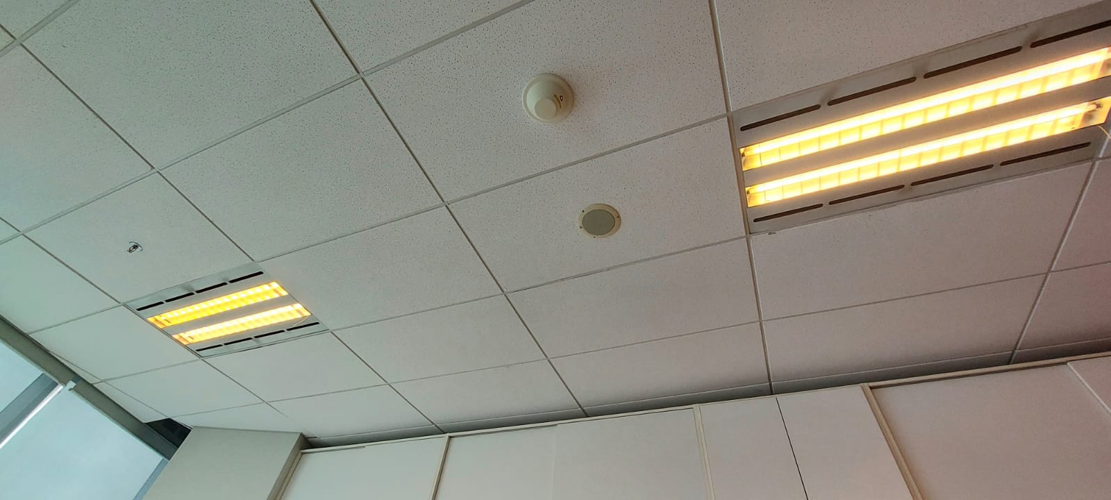 Rekomendasi Bahan Plafon yang Awet dan Tahan Lama - PT Impack Pratama ...